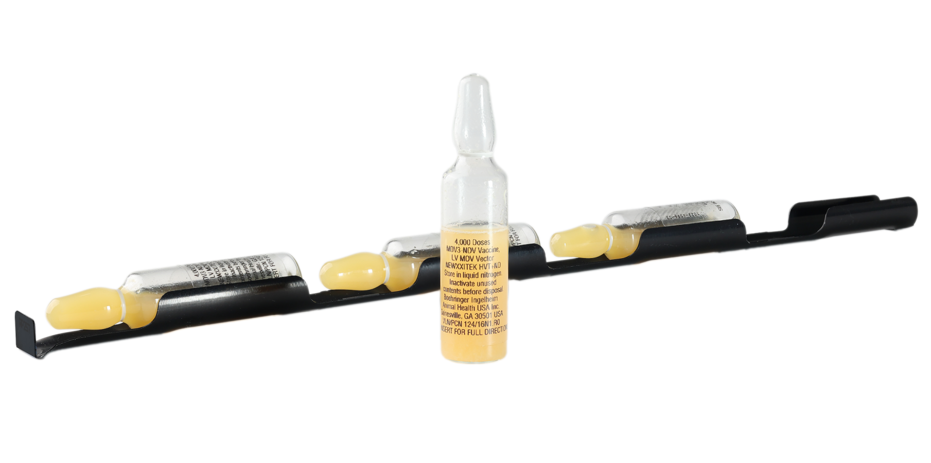 NEWXXITEK HVT+ND | Boehringer Ingelheim Poultry USA